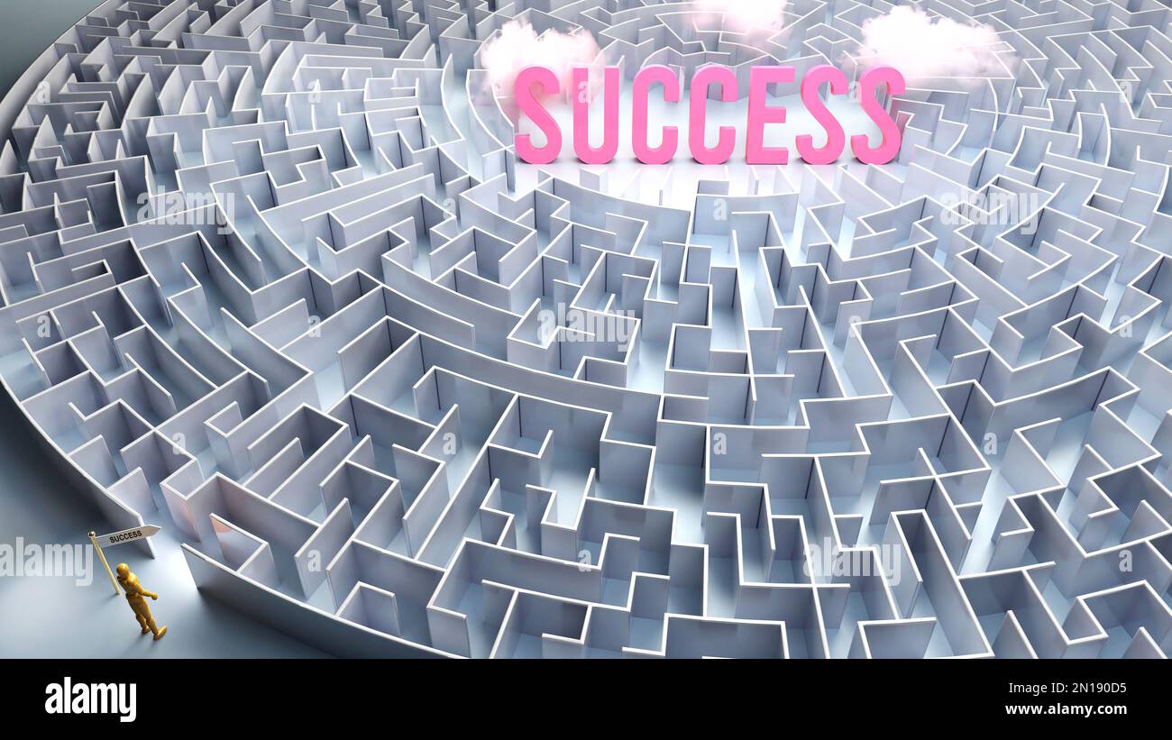 A journey to find Success - going through a confusing maze of obstacles ...
