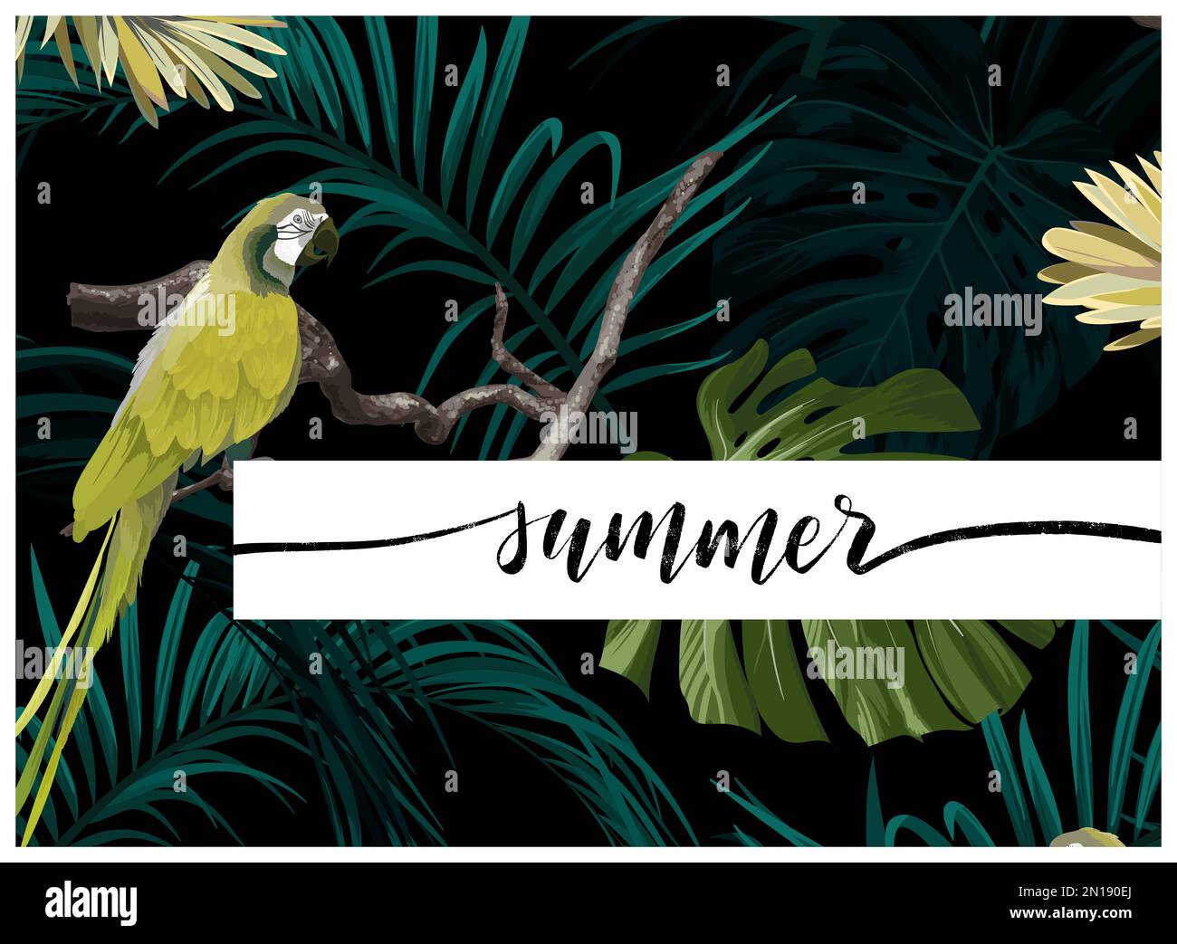 Dark tropical design with exotic monstera and royal palm leaves, blue ...