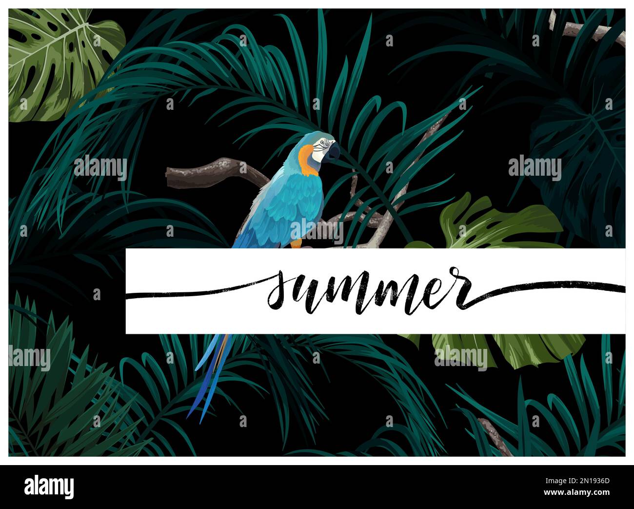 Dark tropical design with exotic monstera and royal palm leaves, blue ...