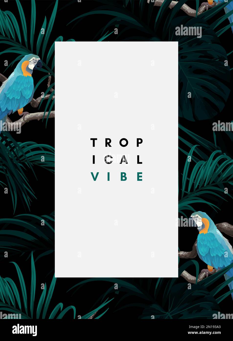 Dark tropical design with exotic monstera and royal palm leaves, blue ...