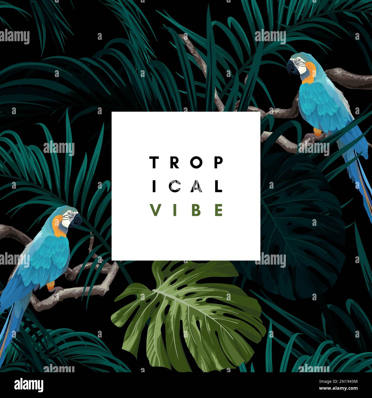 Dark tropical design with exotic monstera and royal palm leaves, blue ...