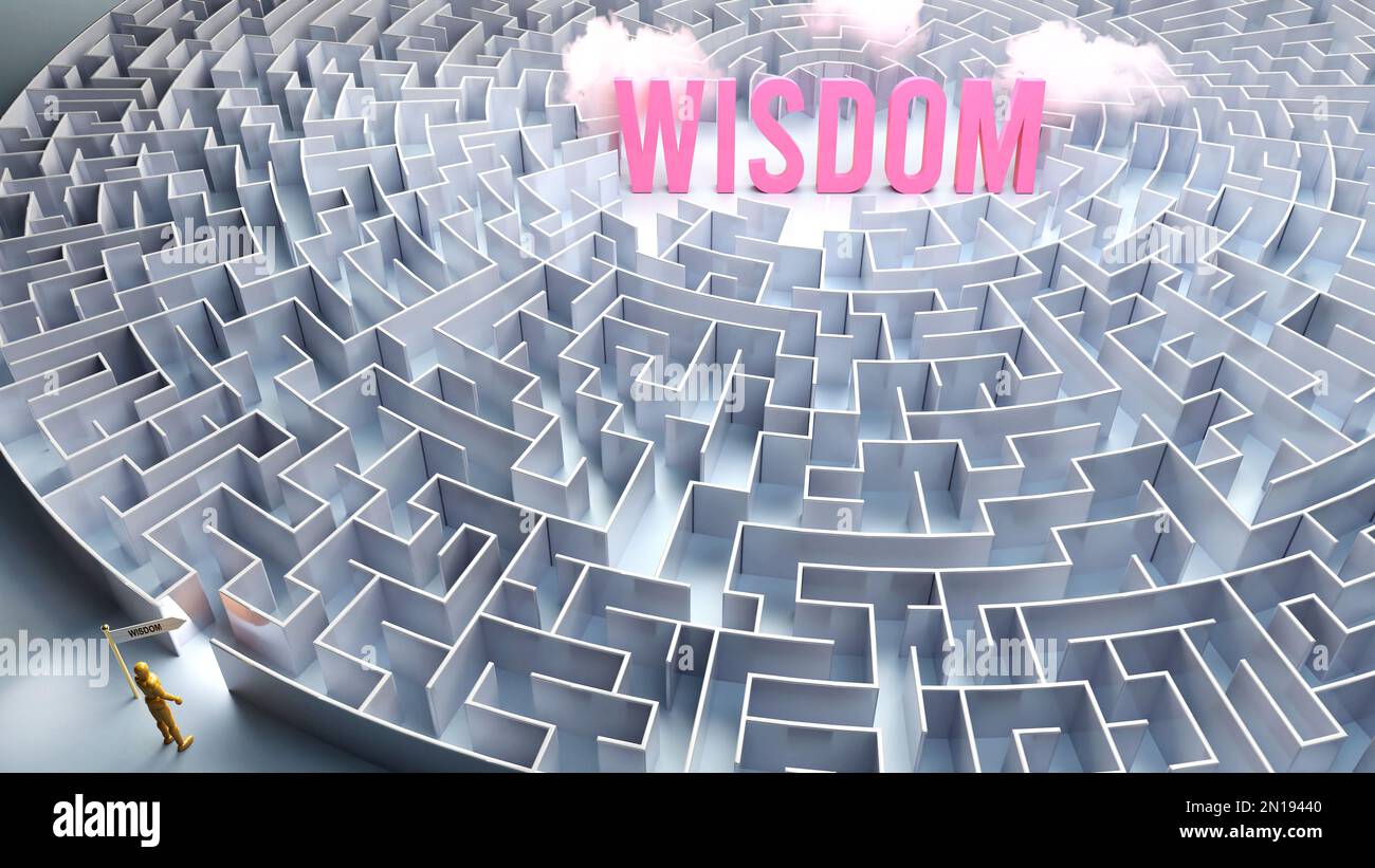A journey to find Wisdom - going through a confusing maze of obstacles ...