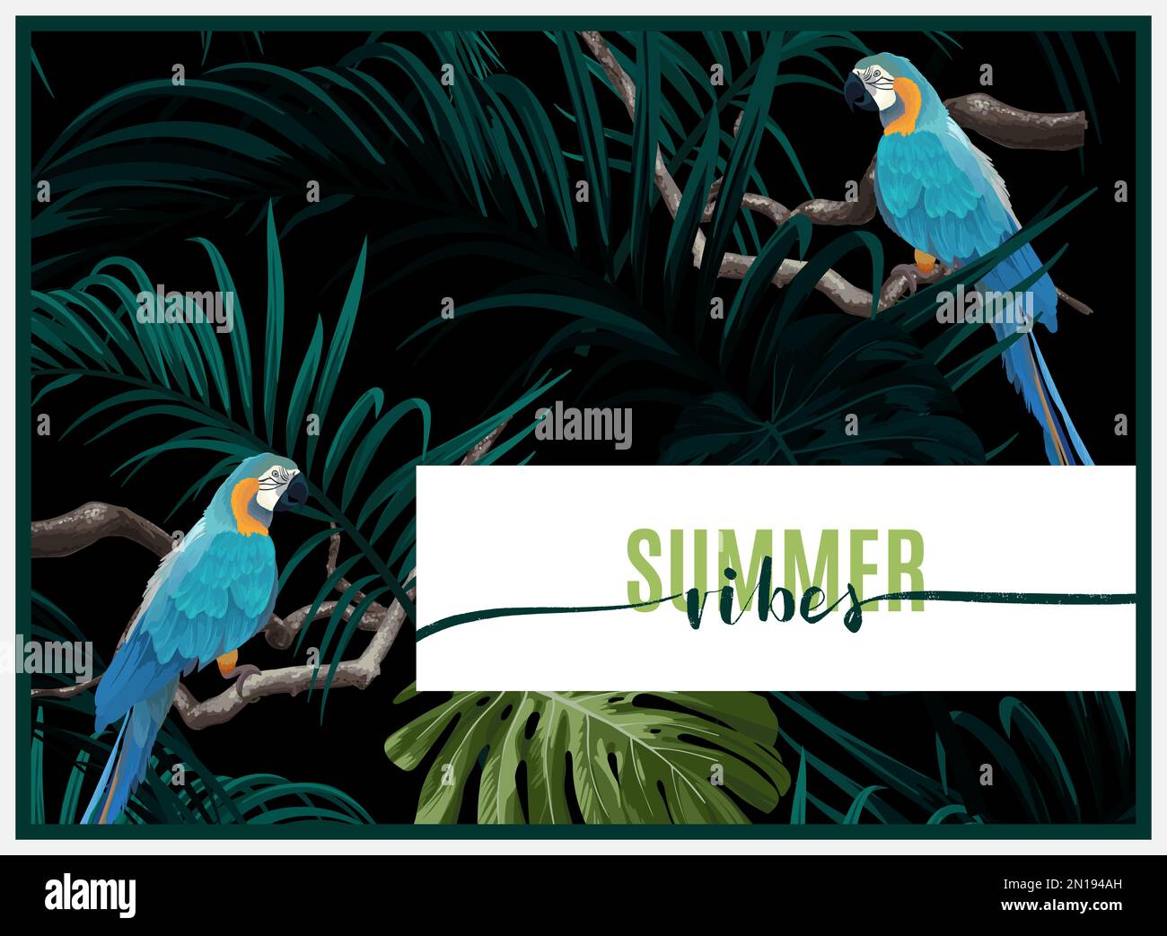 Dark tropical design with exotic monstera and royal palm leaves, blue ...