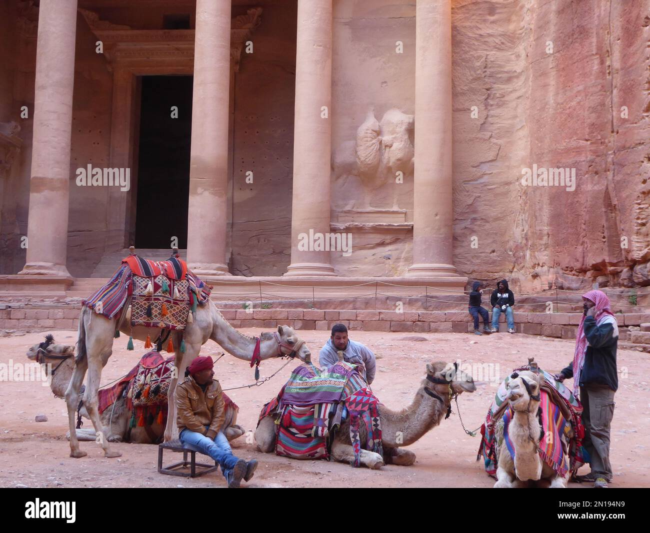 Camels at rest in front of the Treasury Building, Petra, Jordan Stock ...