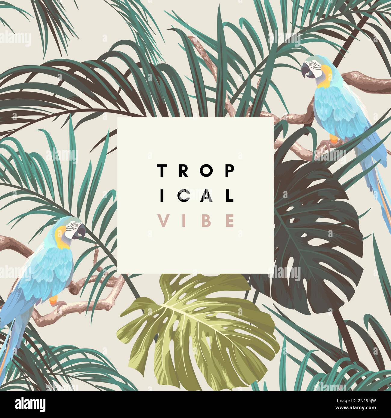 Vintage tropical design with exotic monstera and royal palm leaves ...
