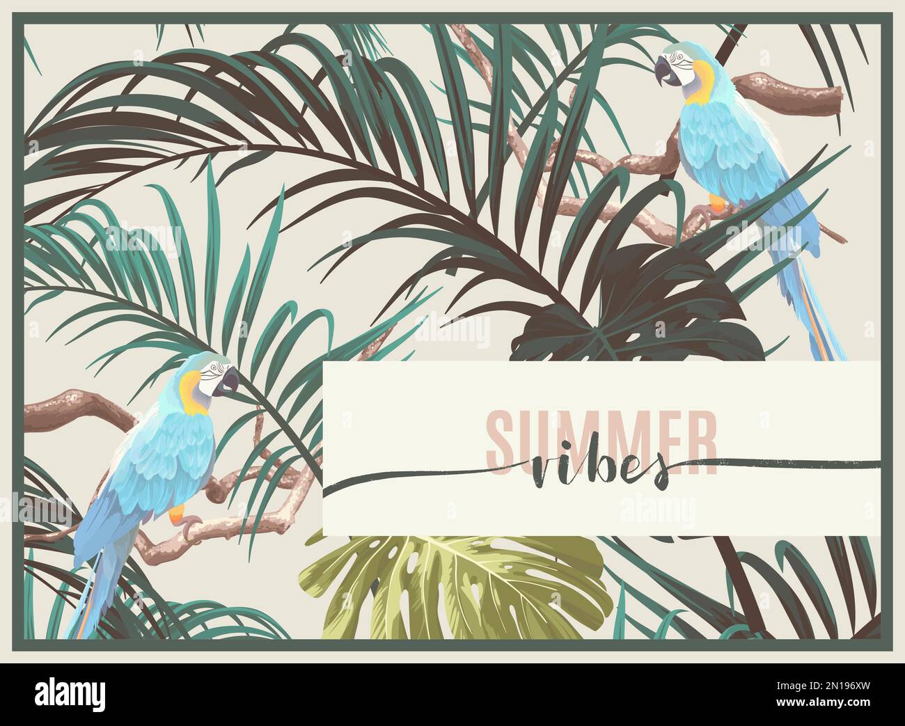 Vintage tropical design with exotic monstera and royal palm leaves ...