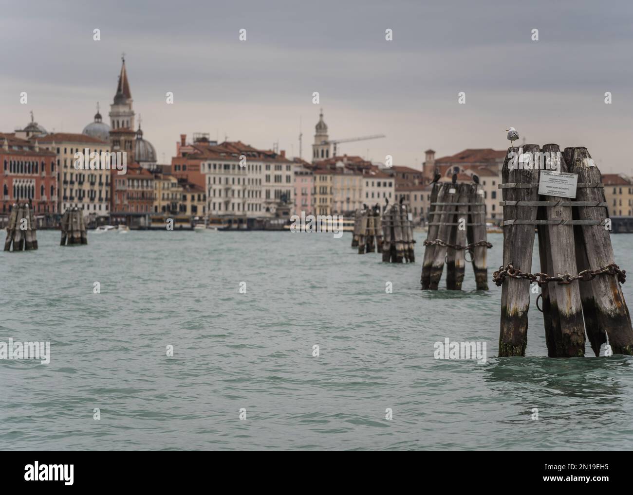 Wooden navigation poles and birds in Venice, Italy Stock Photo - Alamy