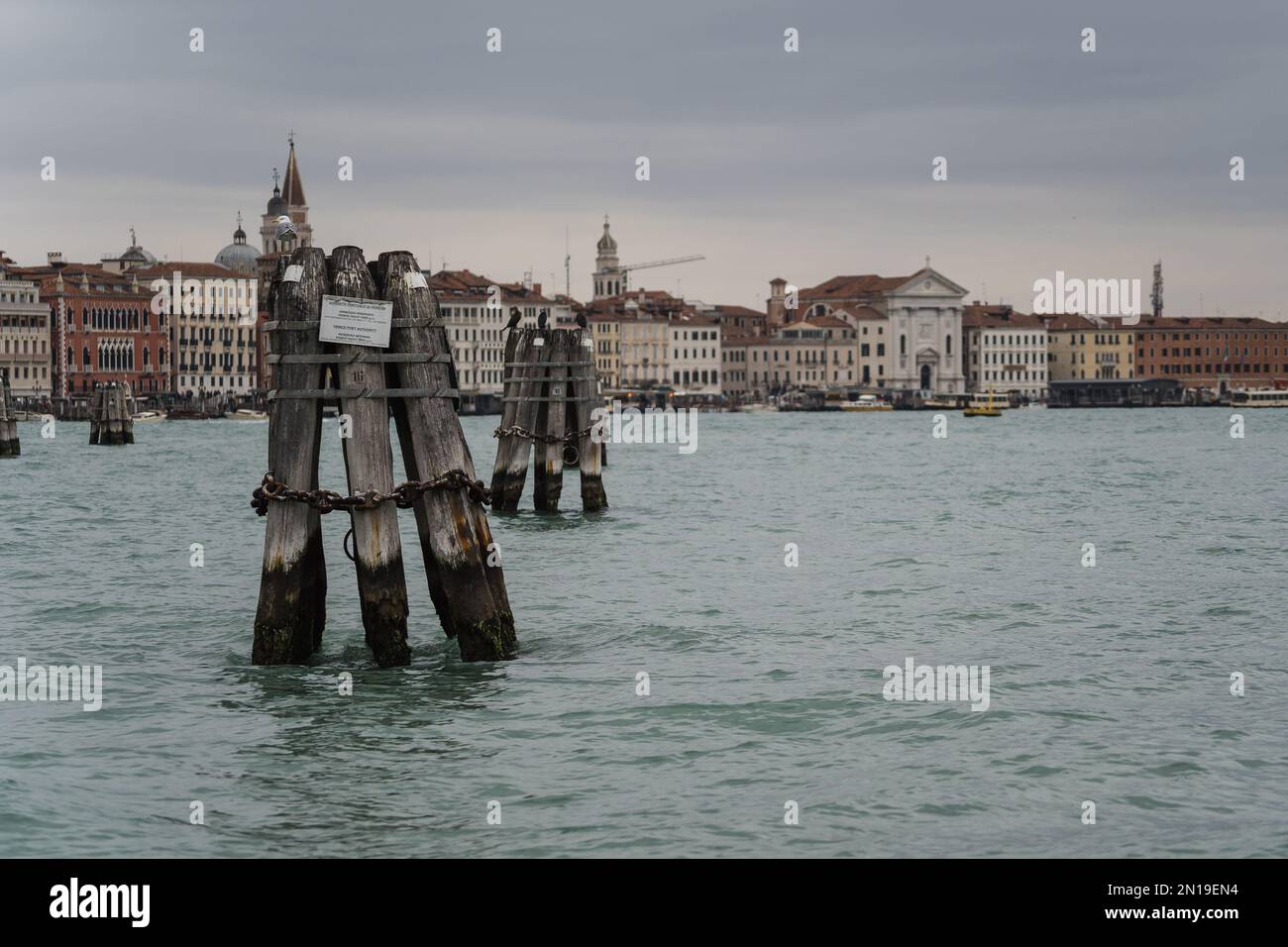 Wooden navigation poles and birds in Venice, Italy Stock Photo - Alamy
