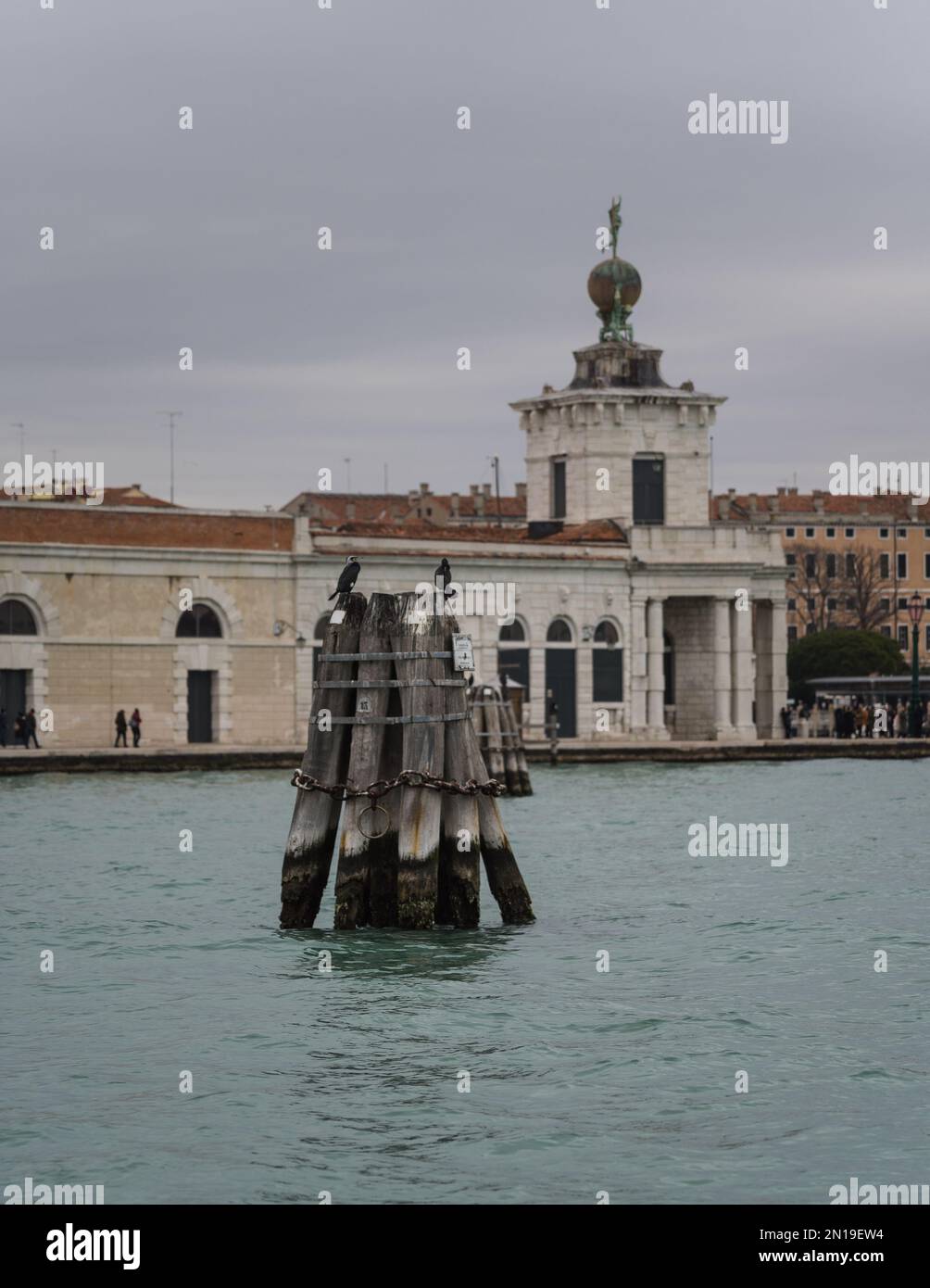 Wooden navigation poles and birds in Venice, Italy Stock Photo - Alamy