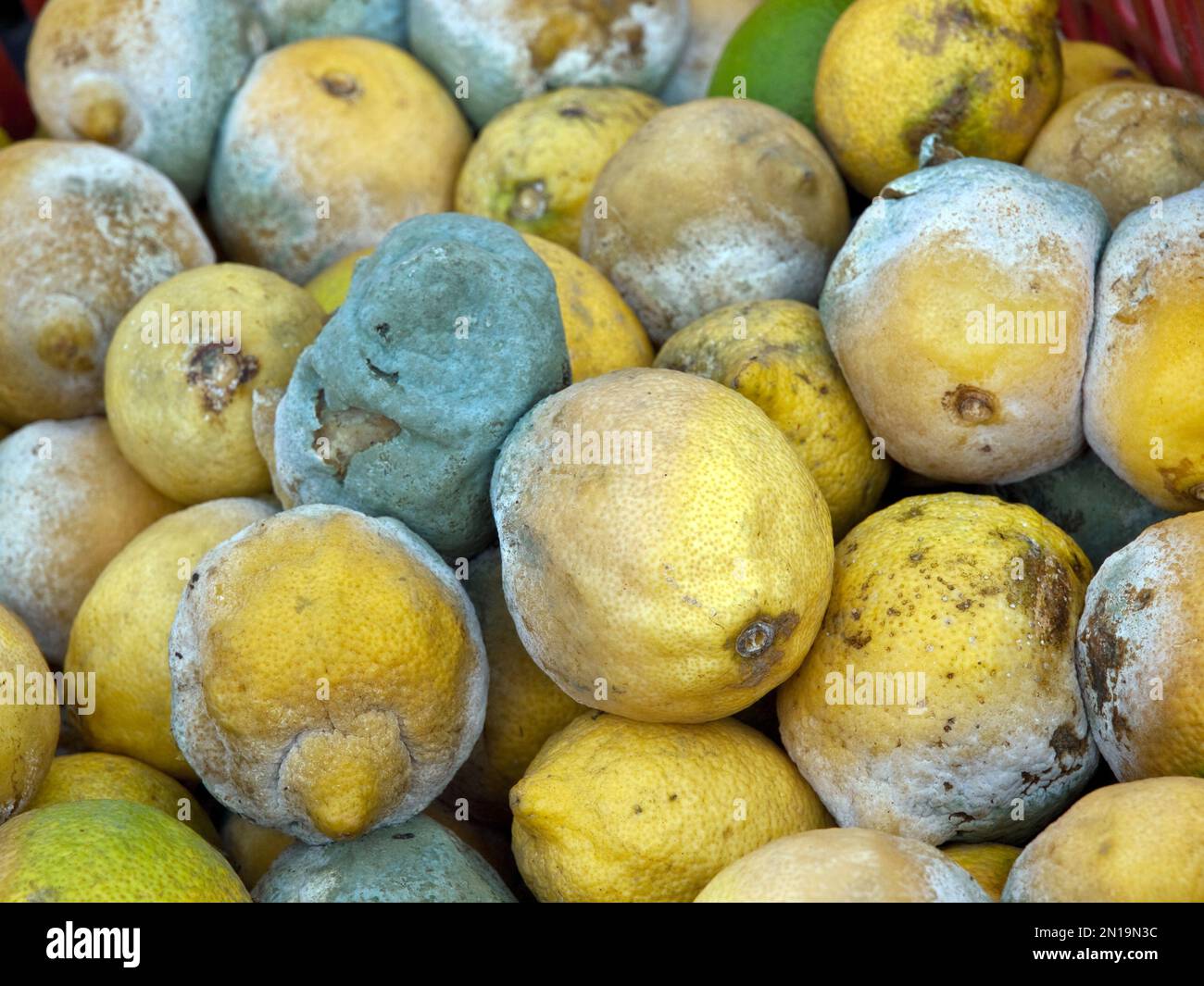 Rotting fruits hi-res stock photography and images - Alamy