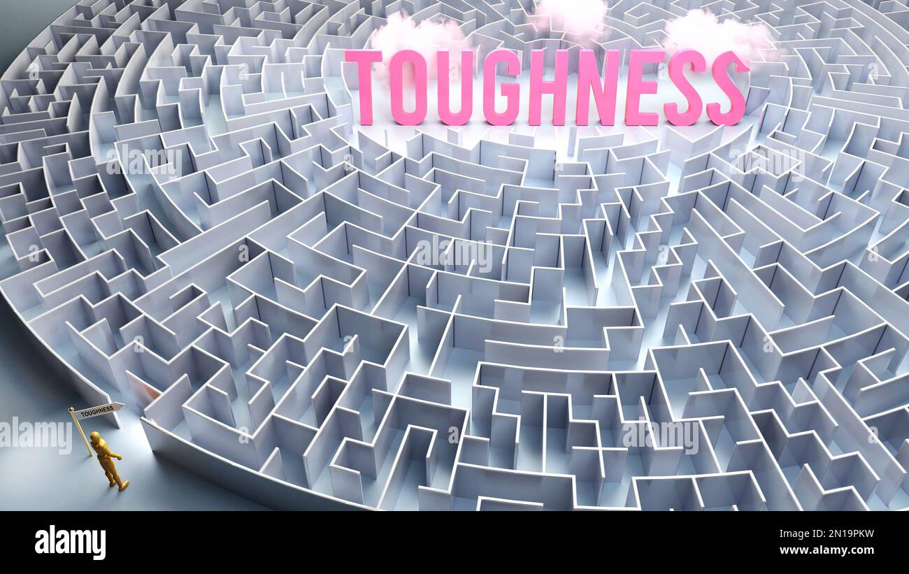 A journey to find Toughness - going through a confusing maze of ...