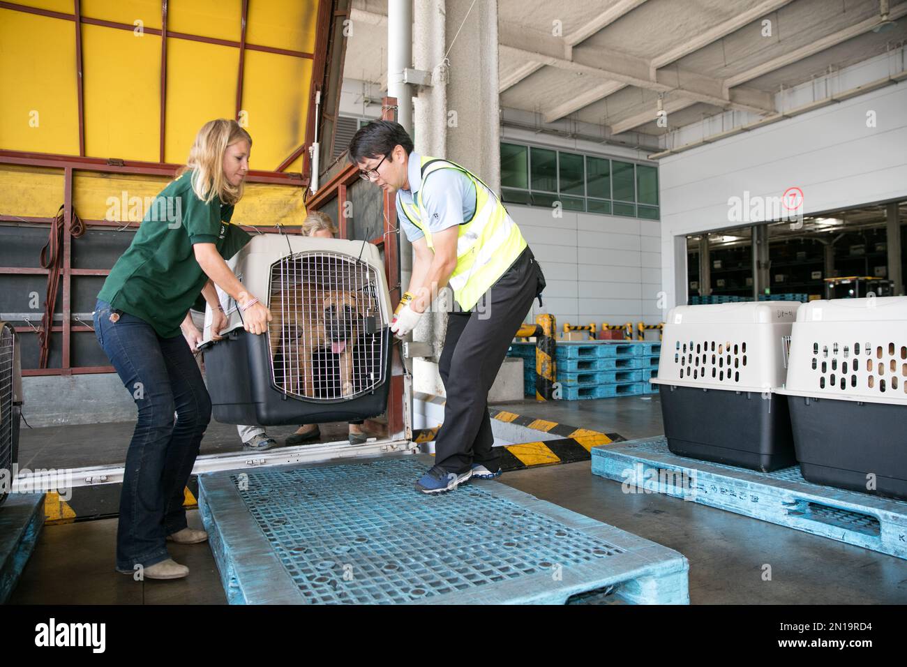 Humane Society International?s Lola Webber and an airport worker unload ...