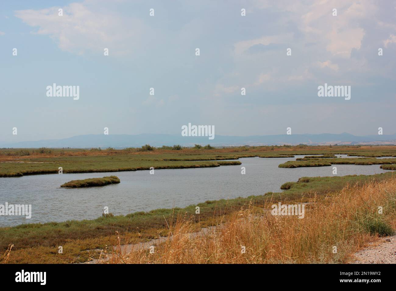 Delta Evros National Park, Evros Thraki Greece Stock Photo - Alamy