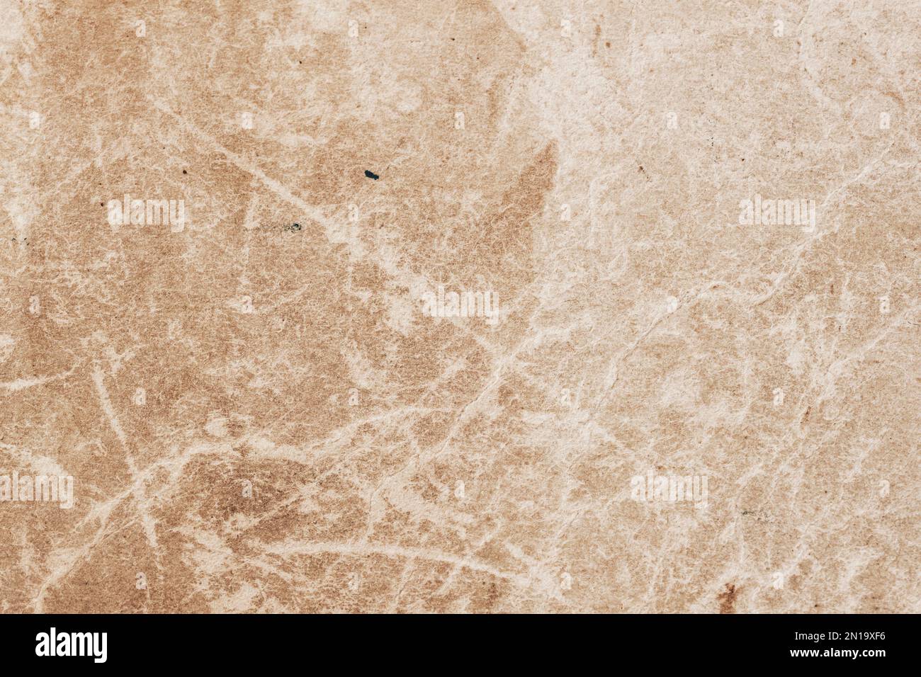 Texture of old moldy paper with dirt stains, spots, cardboard texture ...