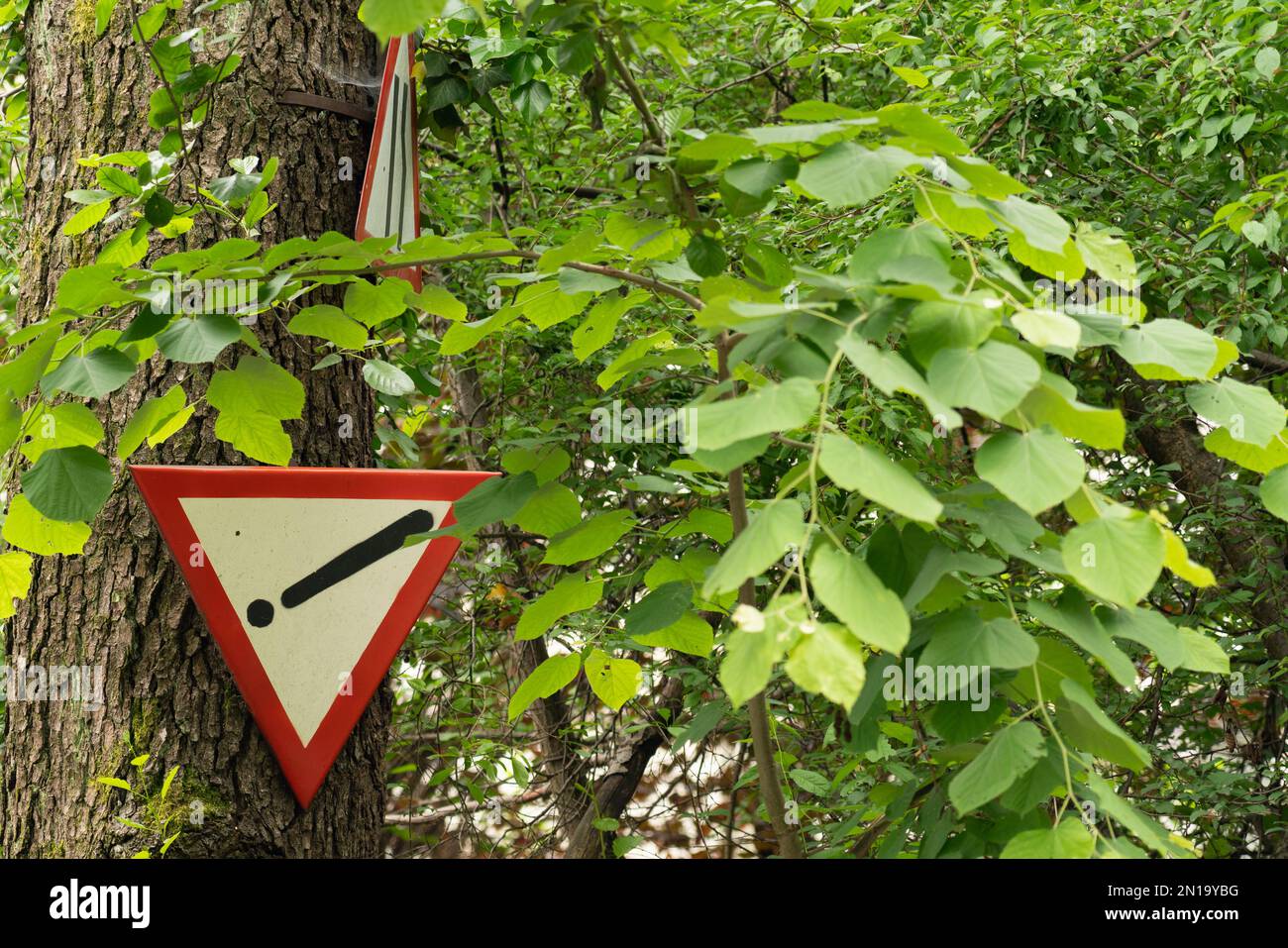 Traffic signs attention stop on road hanging from green tree with ...