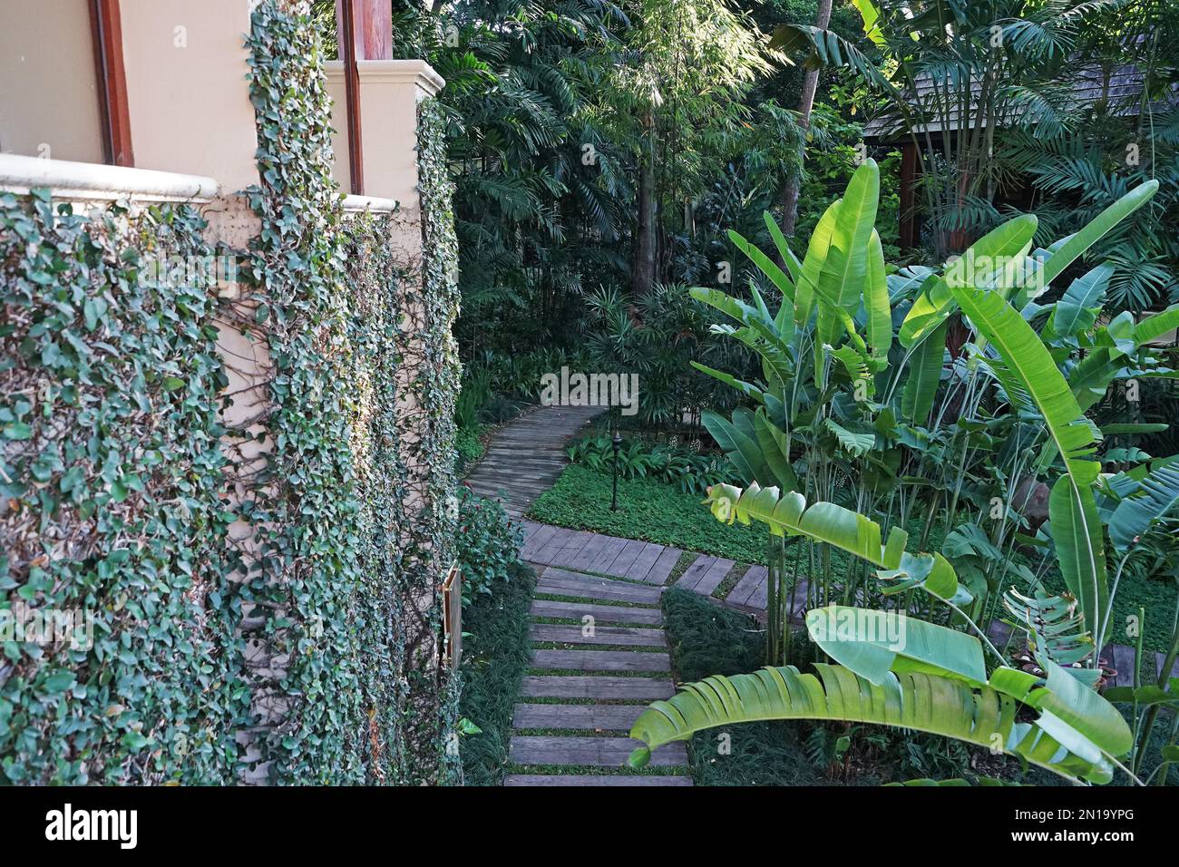 Exterior design of natural hotel and luxury resort villas and pavilions ...