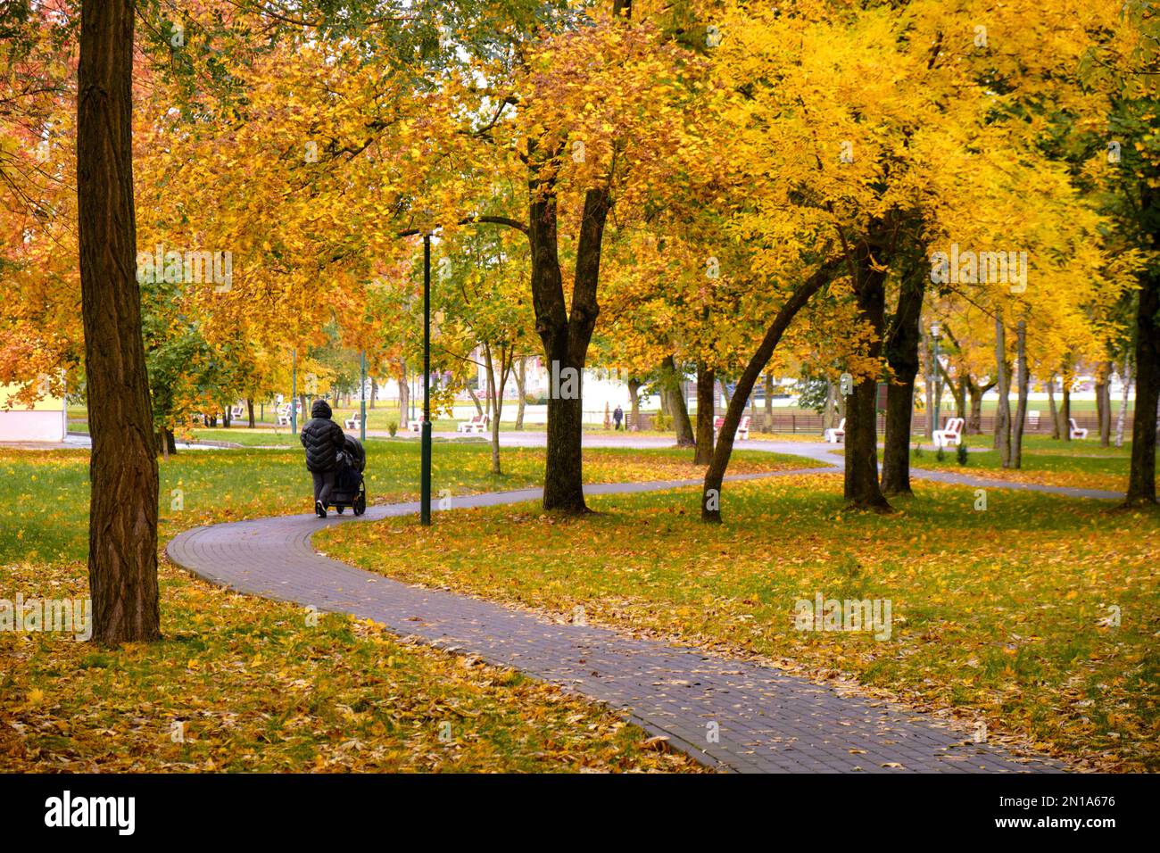 autumn park pram mom baby walk path leaves trees yellow joy walk ...