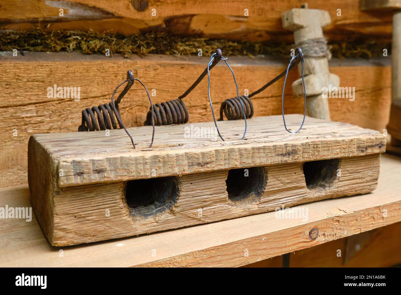 Rodent trap box hi-res stock photography and images - Alamy