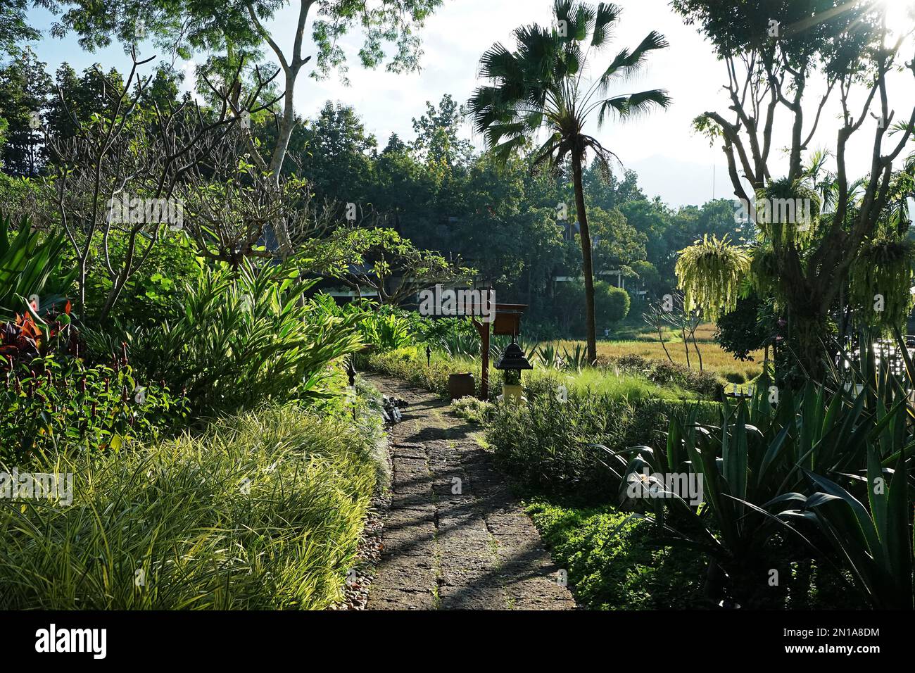 Exterior design of natural hotel and luxury resort villas and pavilions ...