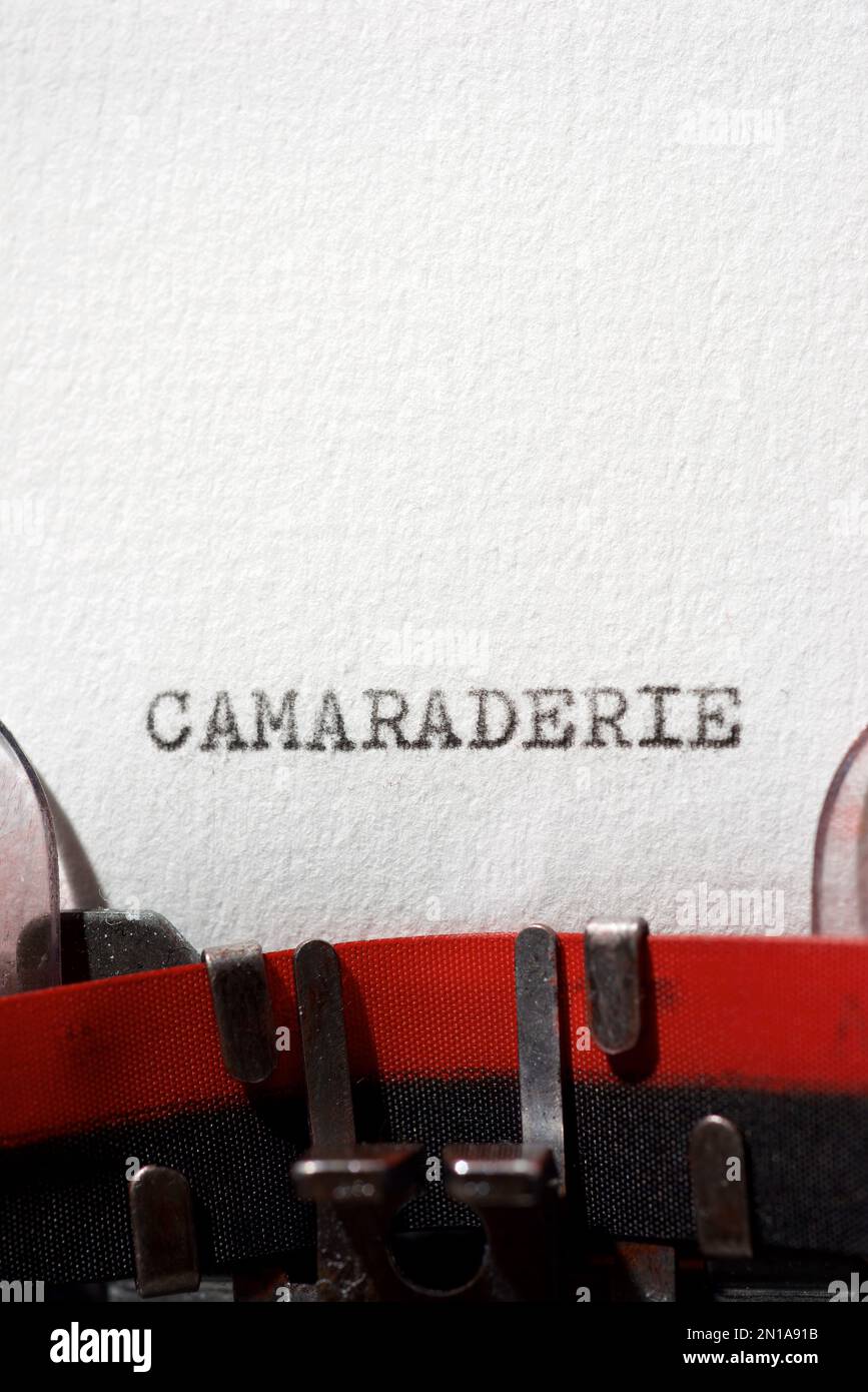 Camaraderie word written with a typewriter Stock Photo - Alamy