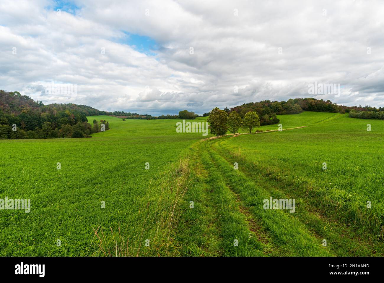 Early autumn countryside wirh small hills, meadows, forest, trail and ...