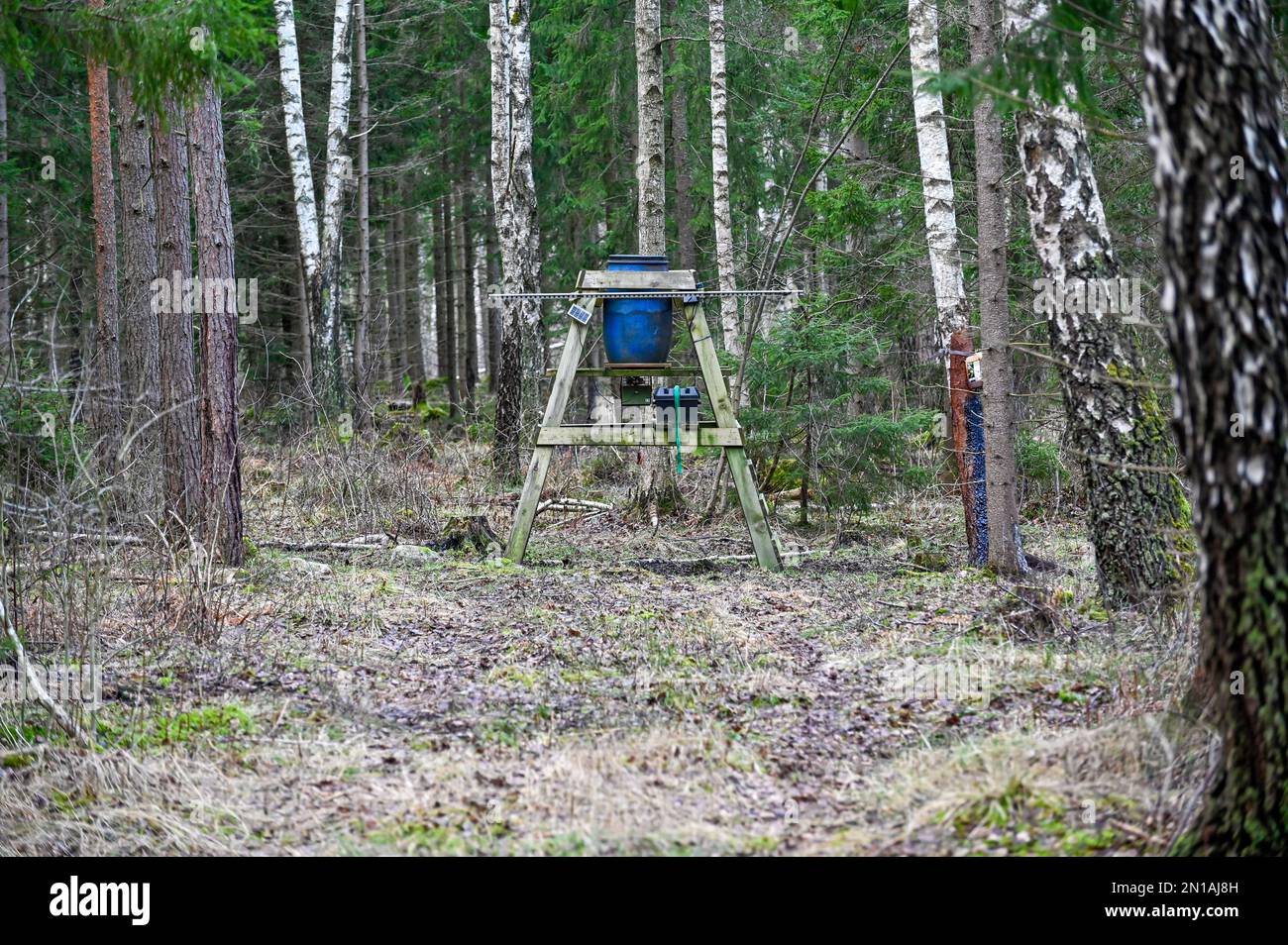 food dispenser with automatic spreader for hunting Stock Photo - Alamy