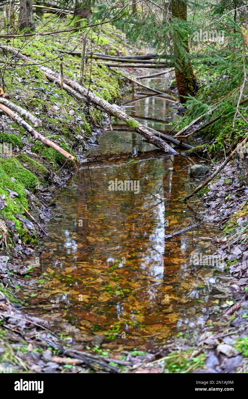 Wood ditch hi-res stock photography and images - Alamy