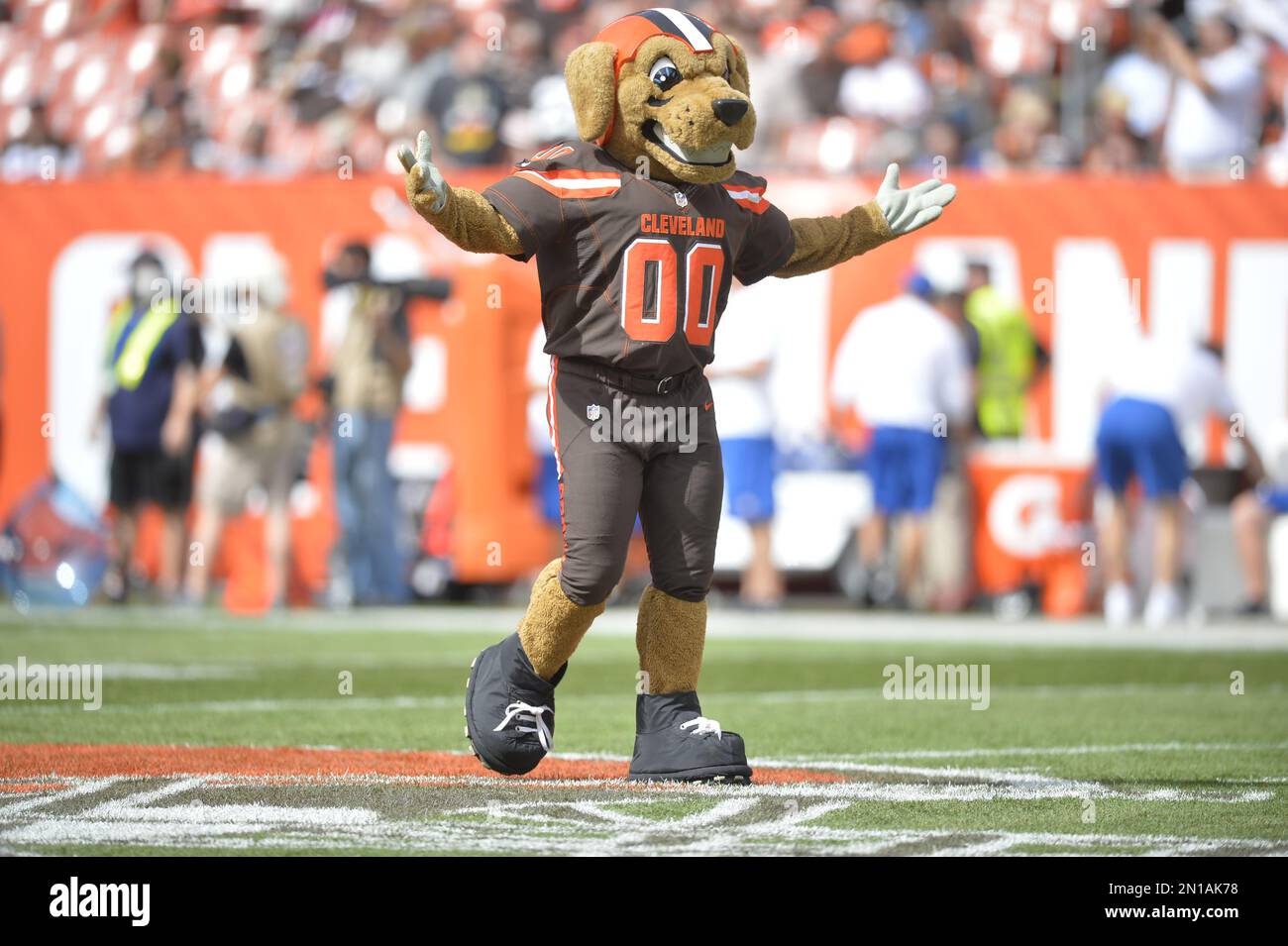 Cleveland Browns mascot Chomps performs during an NFL football game ...