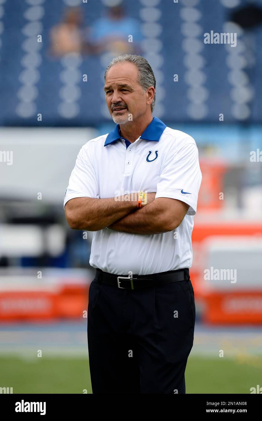 Indianapolis Colts' owner Jim Irsay watches players warm up before an ...