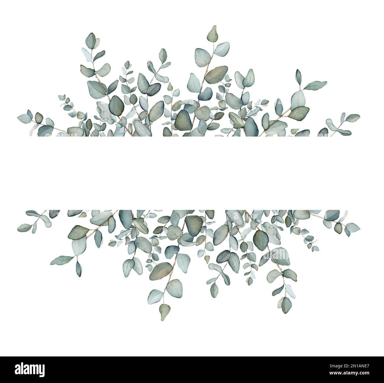 Watercolor banner with green eucalyptus leaves branches.Watercolor ...