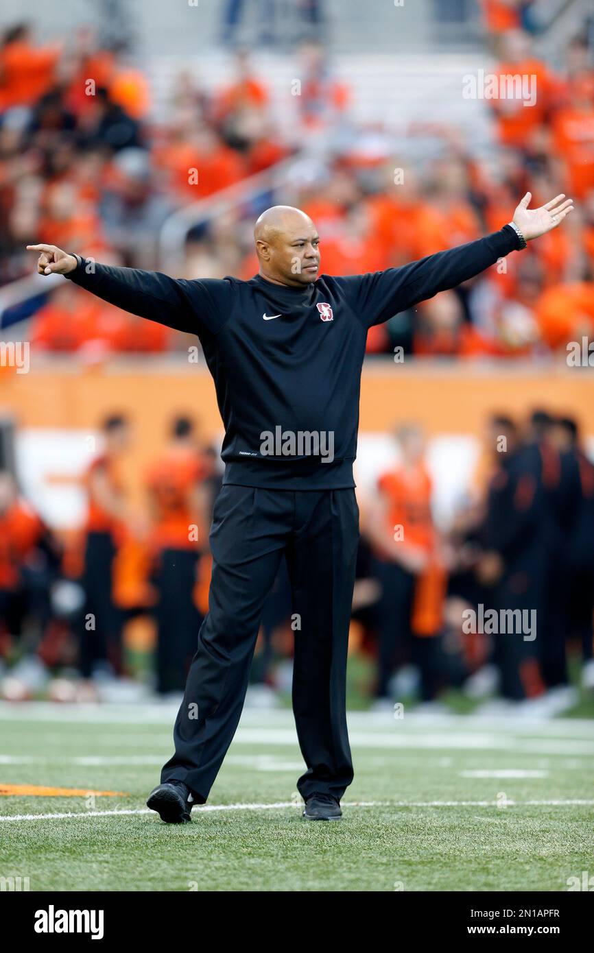 Stanford head coach David Shaw during an NCAA football game in ...