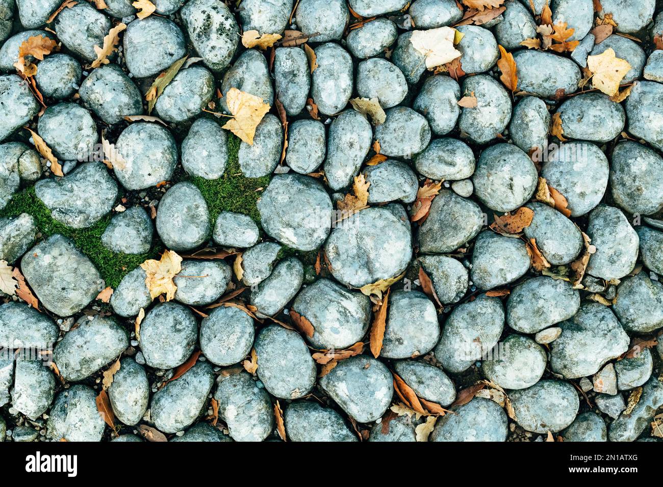Texture of pebble pathway with dry autumn leaves as background, top ...
