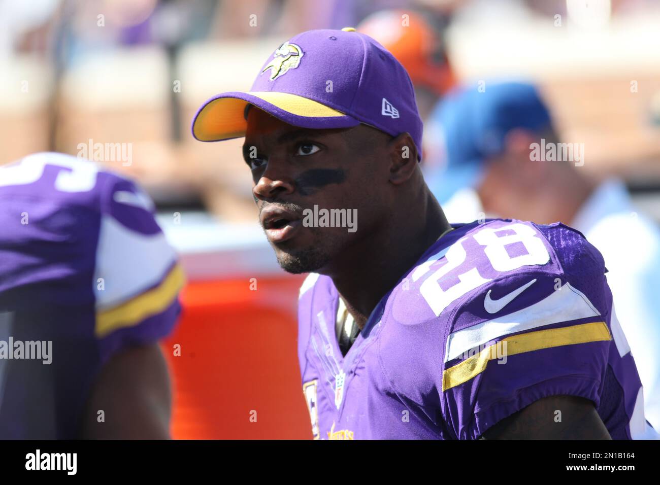 Minnesota Vikings running back Adrian Peterson (28) on the sideline in ...