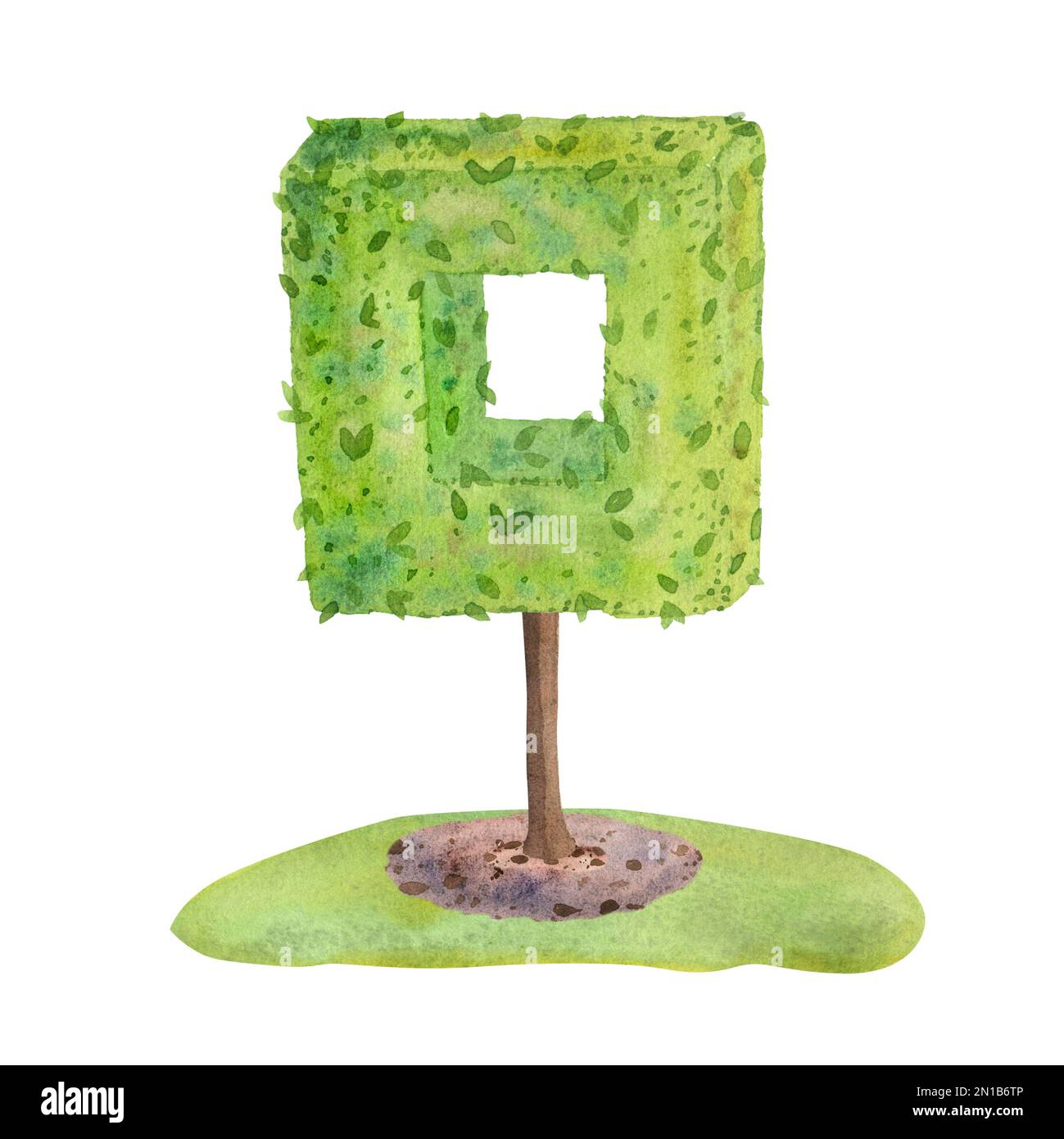 Watercolor illustrations of a square-shaped tree on a green lawn ...