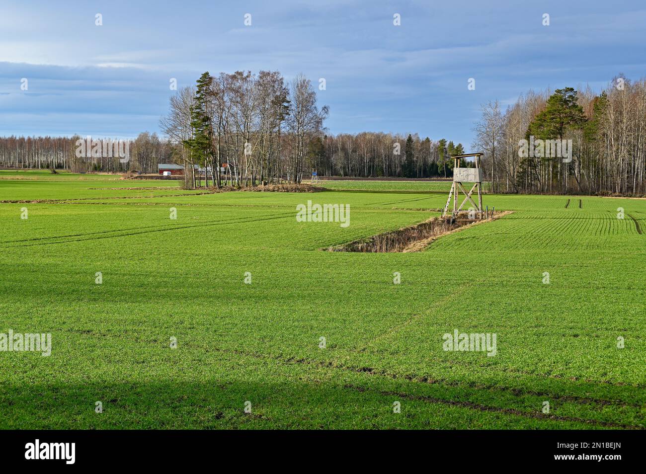 view over farm field and hunting tower Stock Photo - Alamy