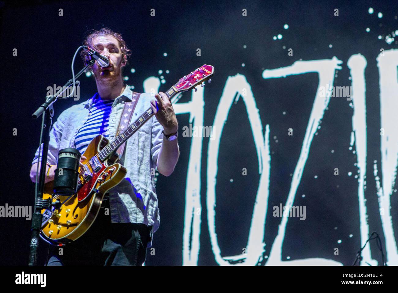 Hozier (AKA Andrew Hozier-Byrne) performs during the Life is Beautiful ...