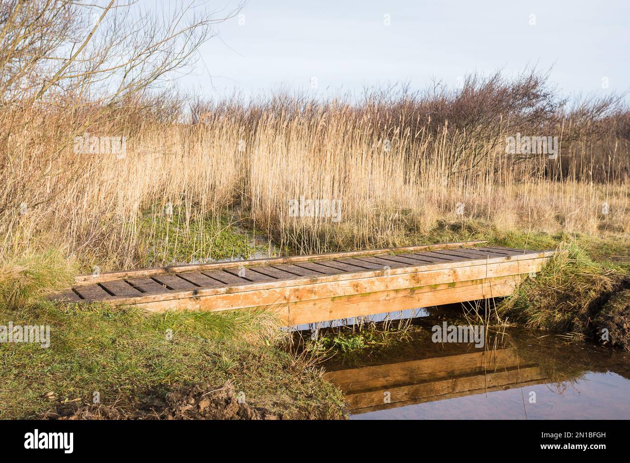Foot bridge over still water on a pond on the Ainsdale coast in ...