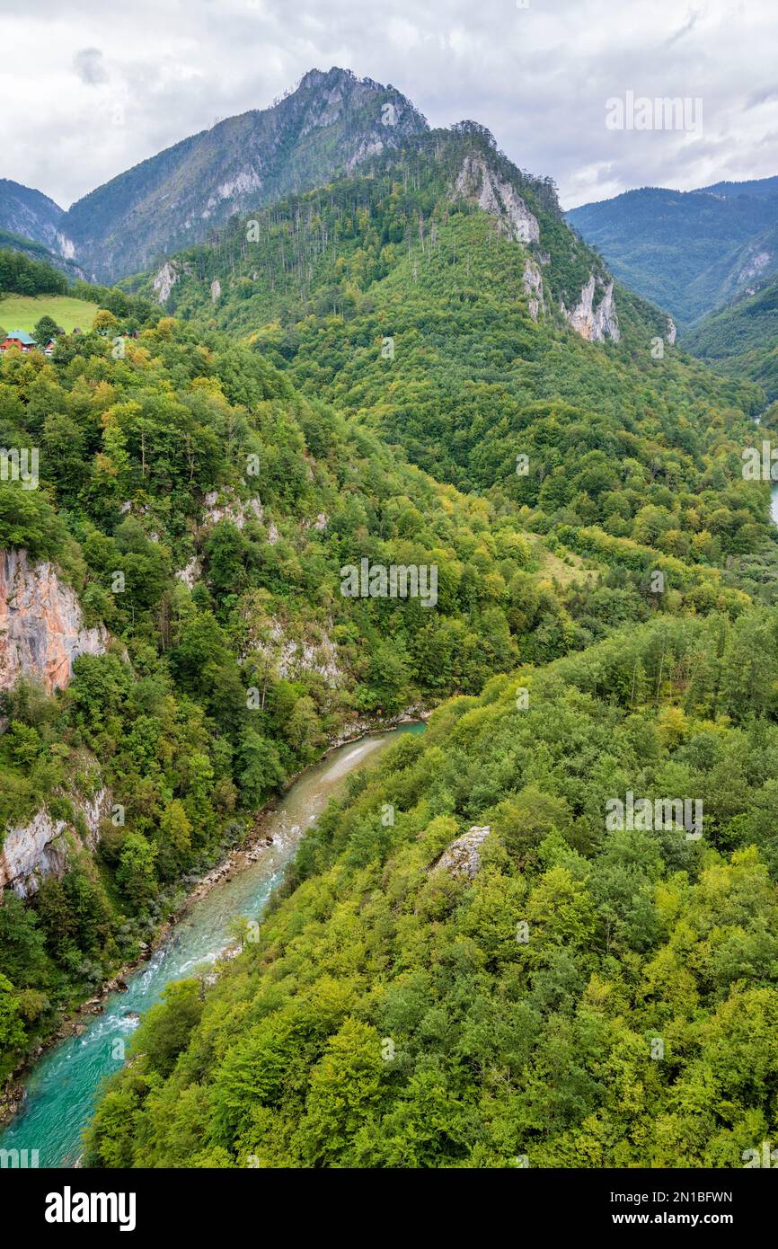 Lush green countryside and towering peaks in the Tara River valley in ...
