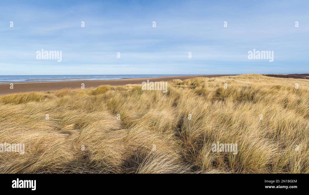Panorama sea beach sand dunes uk hi-res stock photography and images ...