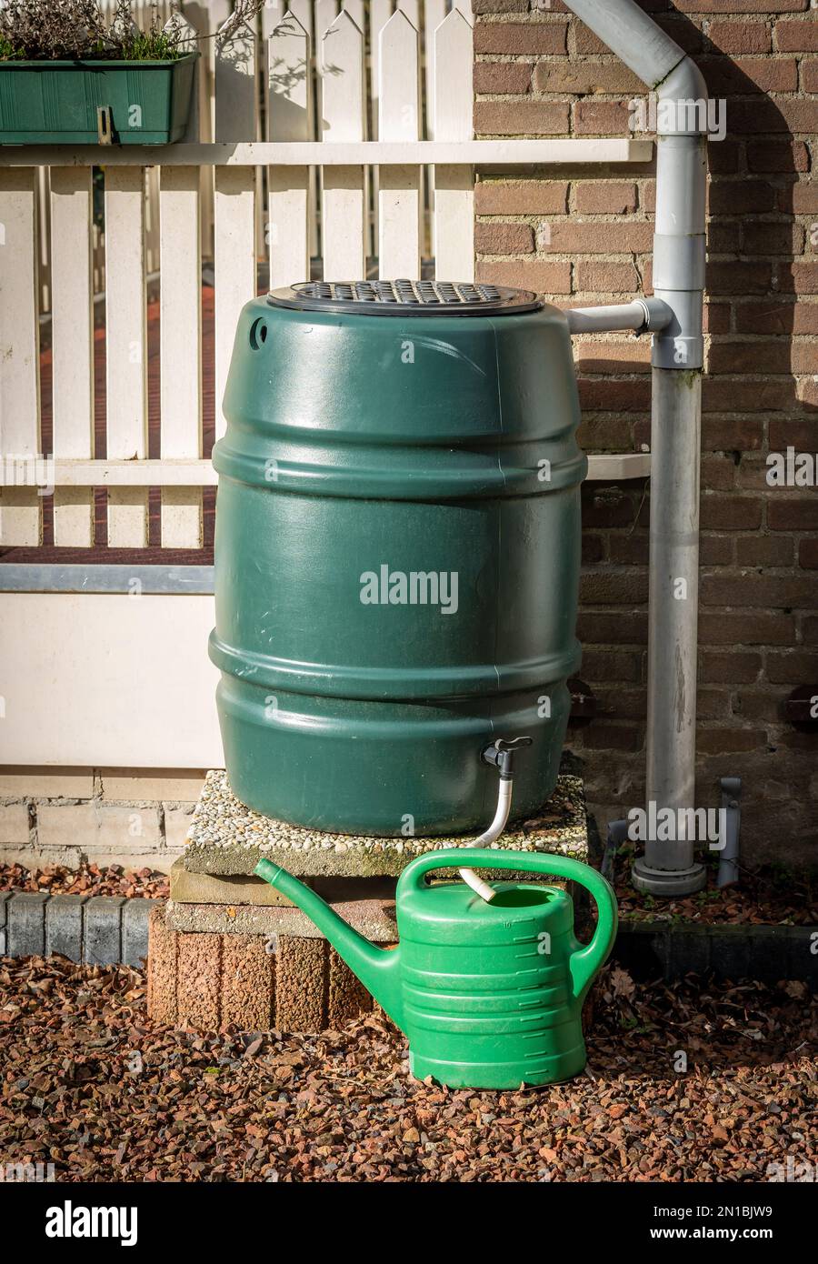 Green rain barrel and watering can to collect rain water, concept of ...