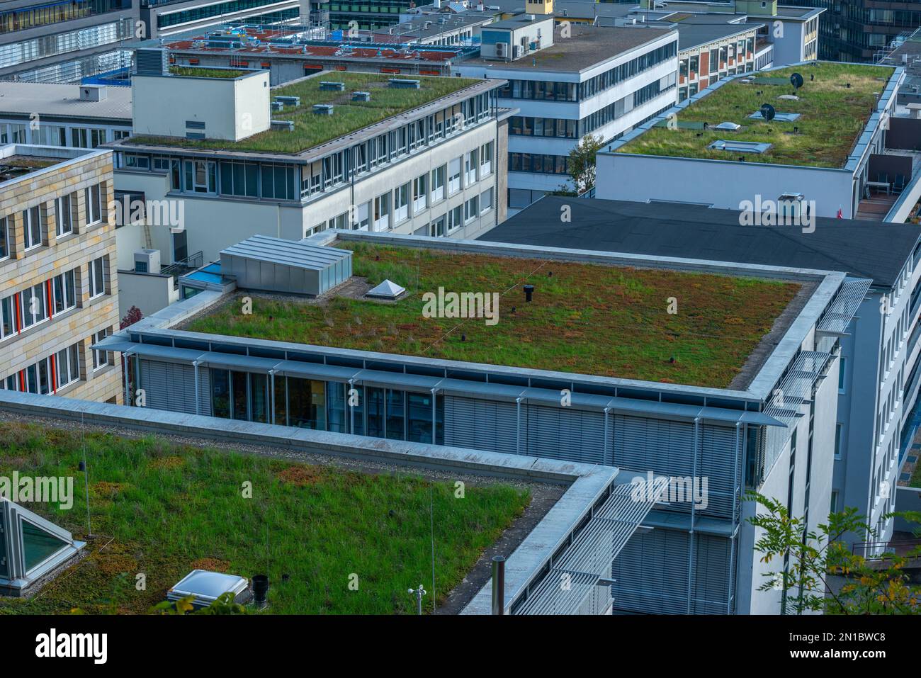 Roof greening on flat roof buildings at Kronenstaffel, Stuttgart, Baden ...