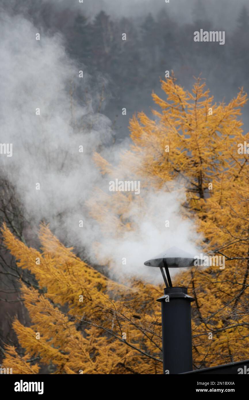 Smoke coming from black metal log cabin chimney, Hokkaido, Japan Stock ...