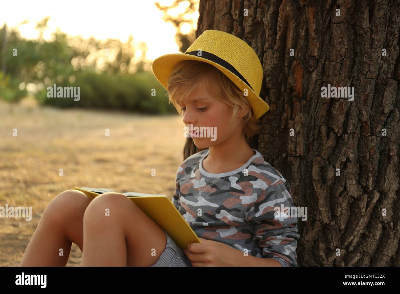 Cute little boy reading book near tree in park Stock Photo - Alamy