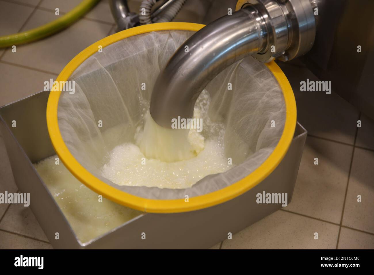Draining whey from tank into sieve at cheese factory Stock Photo - Alamy