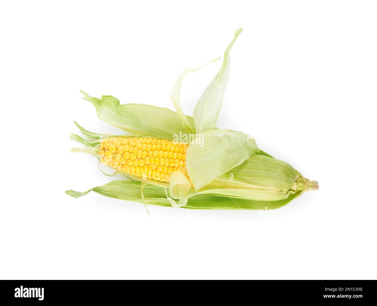 Ripe raw corn cob with husk isolated on white Stock Photo - Alamy