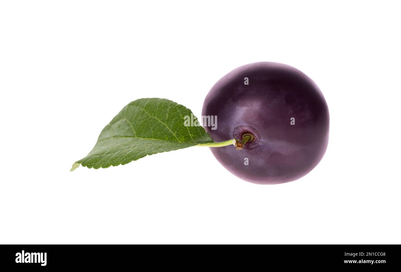 Delicious ripe plum with leaf isolated on white Stock Photo - Alamy