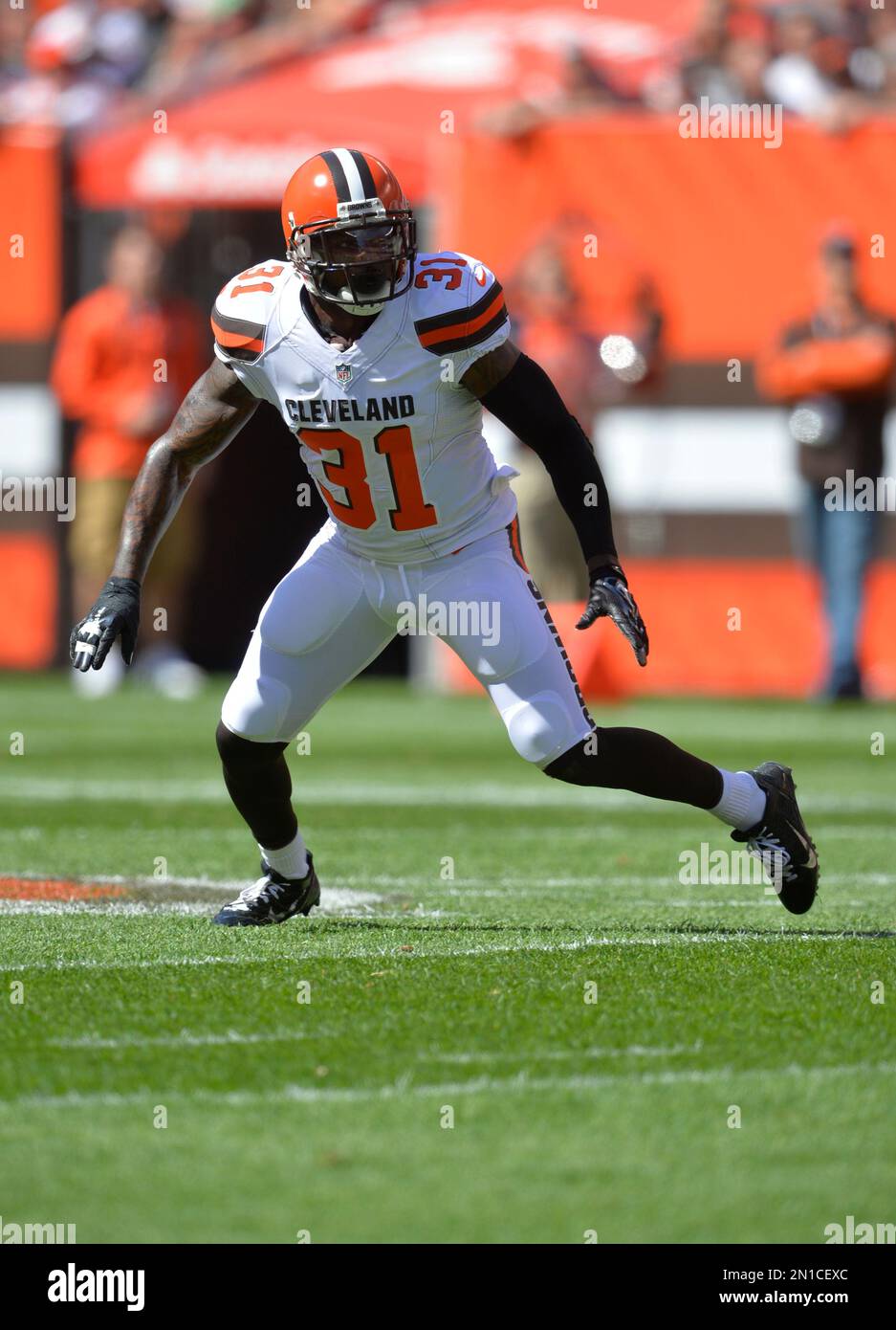 Donte Whitner Browns