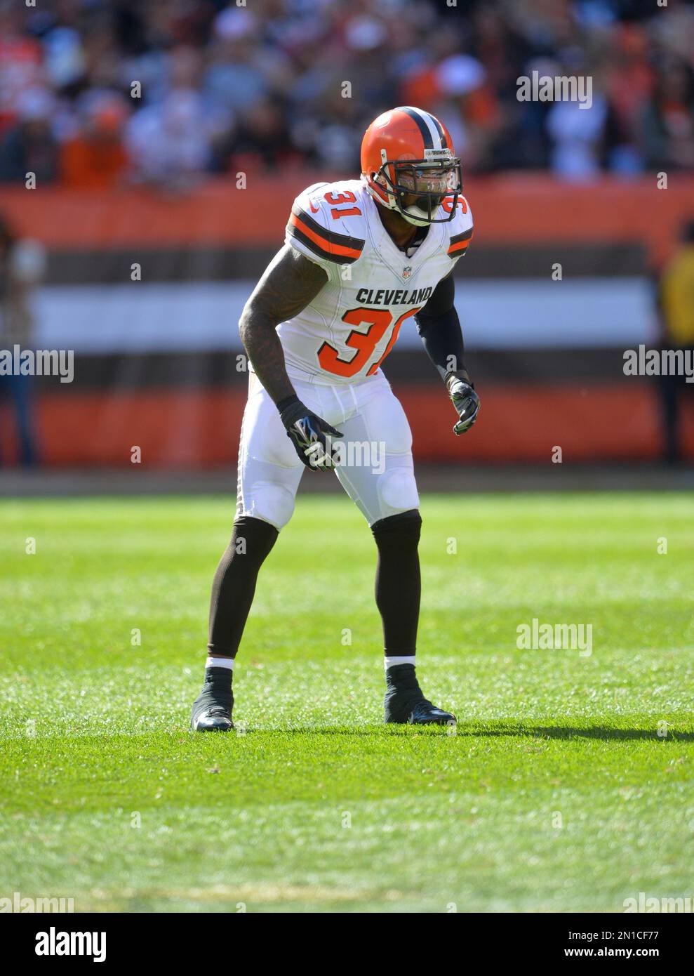 Donte Whitner Browns