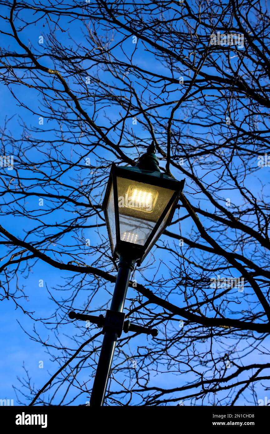 Devonport Park in Plymouth is often refered to as the Peoples Park ...