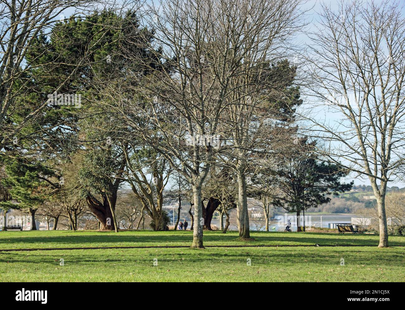 A quiet stroll or a bike ride in Devonport Park on a chilly February ...